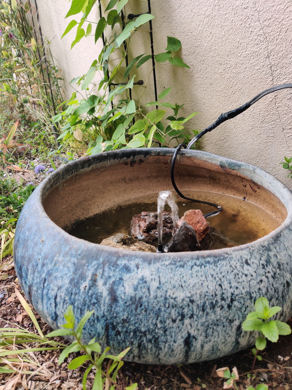 Water for the birds – Change-Making.com